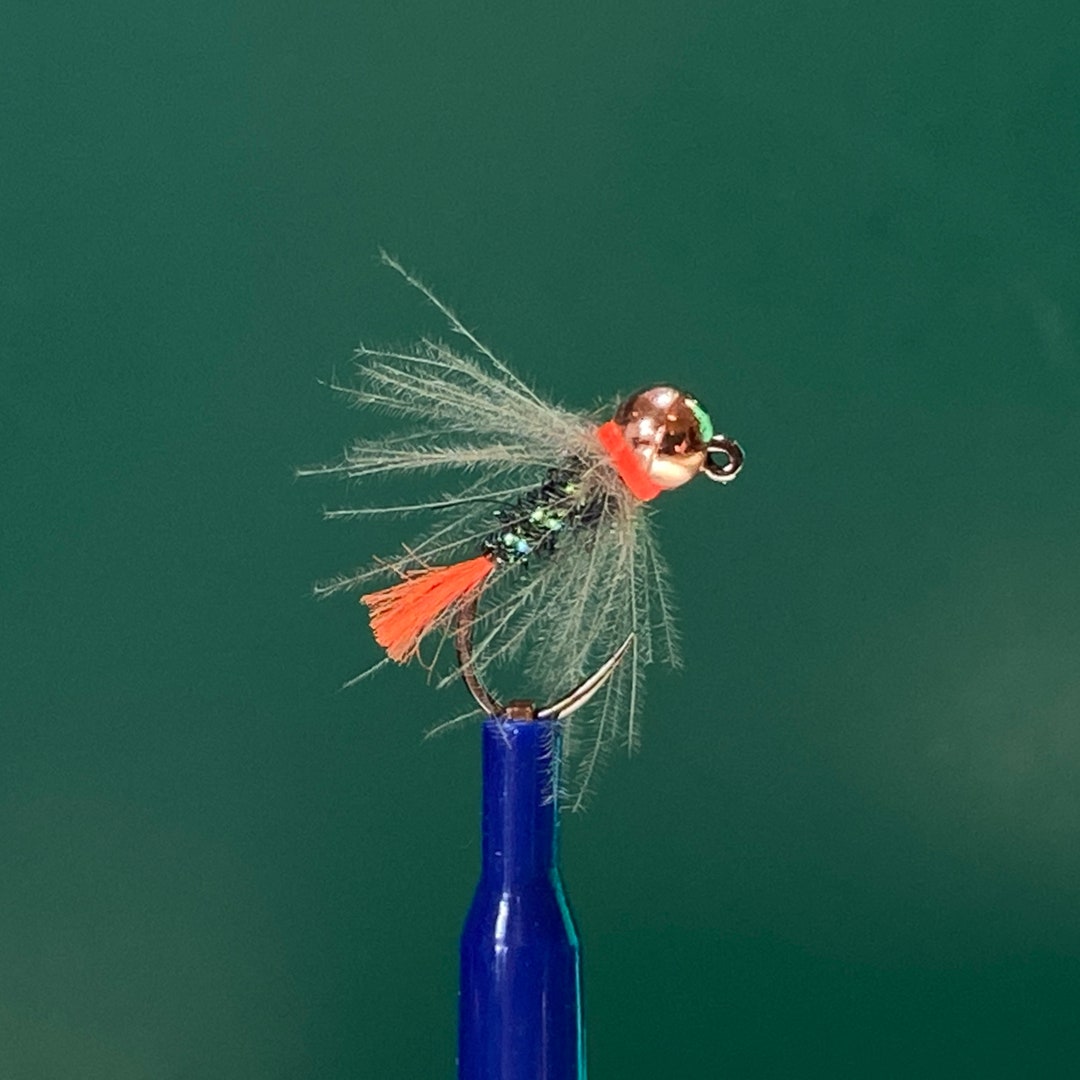 Devin Olsen's Blowtorch. One of the BEST Fly Fishing Flies. Great Euro ...