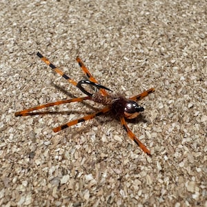 Stone Pony. Awesome Mini Stonefly Imitation. Euro, Dry-dropper and ...