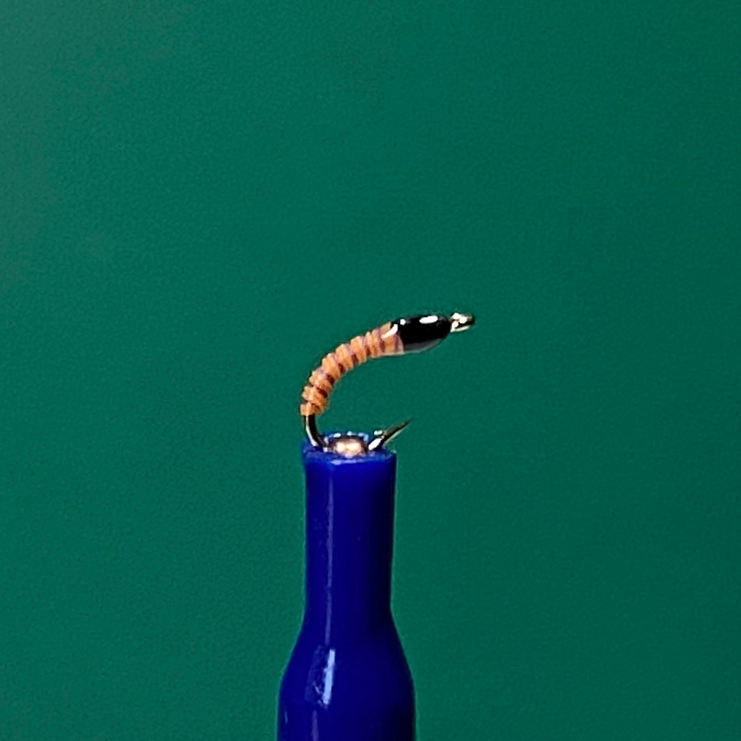Colorado Midge Larva. Perfect Representation of the Prolific Midge ...