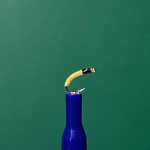 Colorado Midge. Midge Larva. One of the BEST Midge Larva Patterns ...