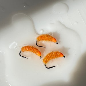 Utah Killer Bug! Frank Sawyer's Killer Bug. Best Seller! One of the ...