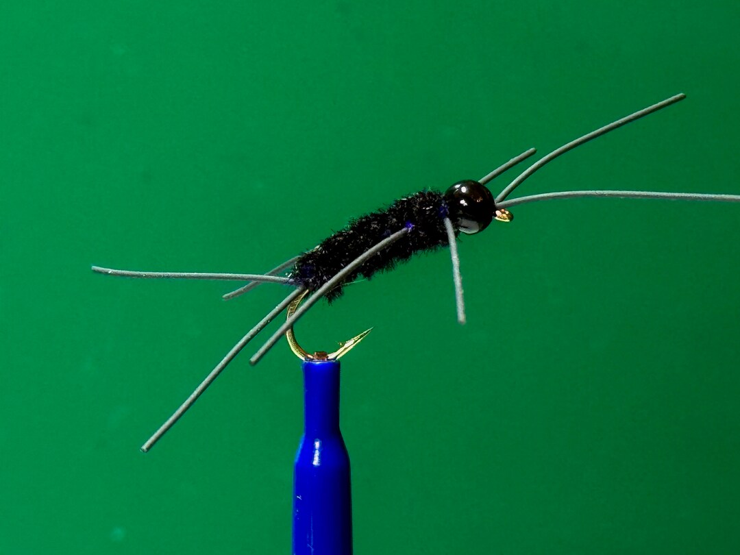 All Black Stonefly! Pat's Rubber Legs. One of the Best Fly Fishing ...