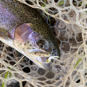 Micro Minnow - Big Eye! Awesome Baitfish Attractor! One of the Best Fly ...