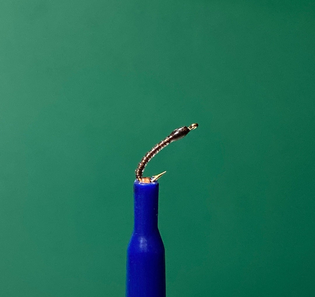 Annelid Pattern. Very Realistic. Perfect Imitation of the Prolific ...