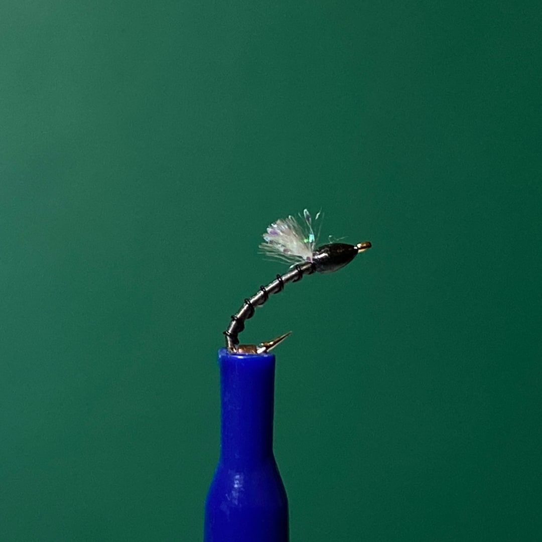 Colorado Annelid. One of the BEST Fly Fishing Flies. Great Euro Nymph ...