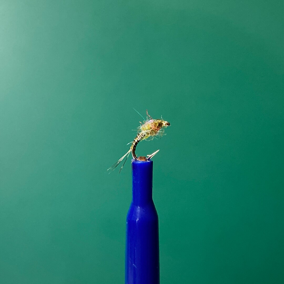 Colorado Baetis Midge! One of the BEST Fly Fishing Flies. Awesome as a ...