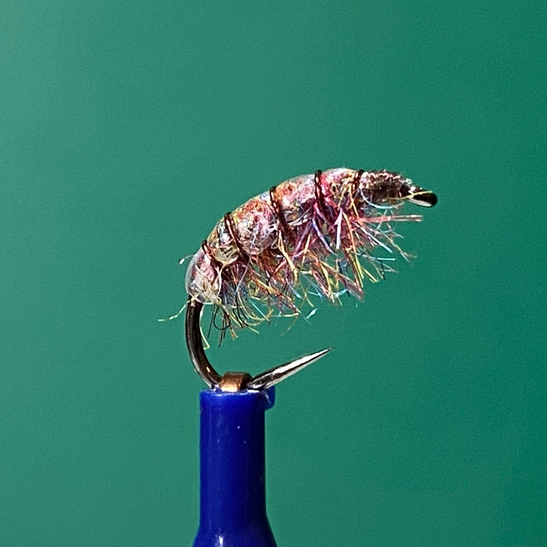 Rainbow Scud. Ugly for Sure, but Deadly in Calm Water. Weighted. Fly ...