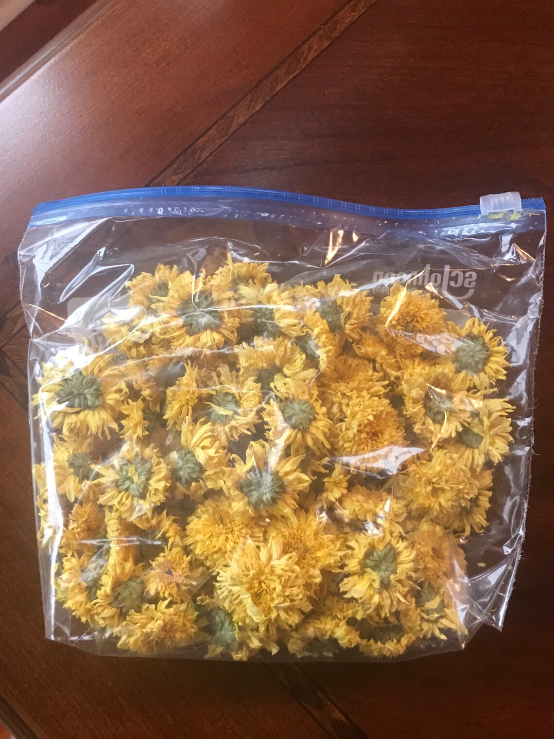 6 Yellow Chrysanthemum （for Tea ）plants（婺源皇菊） - Etsy