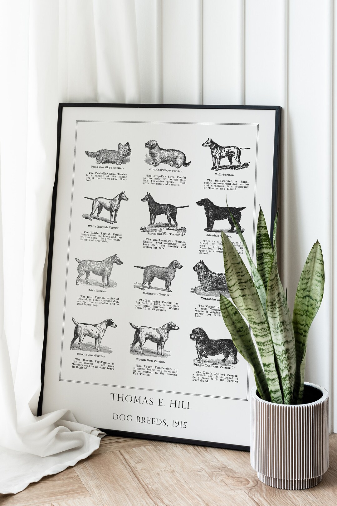 Thomas E. Hill, Dog's Poster, Digital Download, Digital Print - Etsy