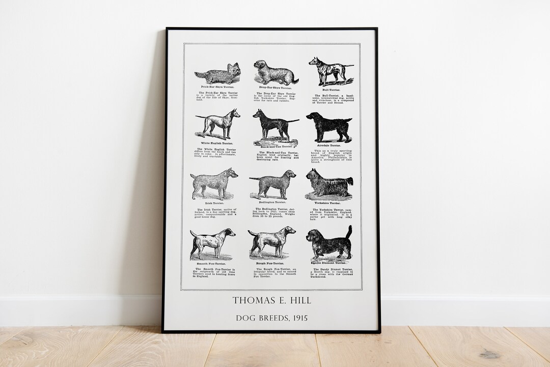 Thomas E. Hill | Dog Poster | Vintage Canine Art | Antique Wall Decor ...