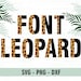 Leopard Font Animal Font Safari Font Leopard Print Font Leopard Spots ...