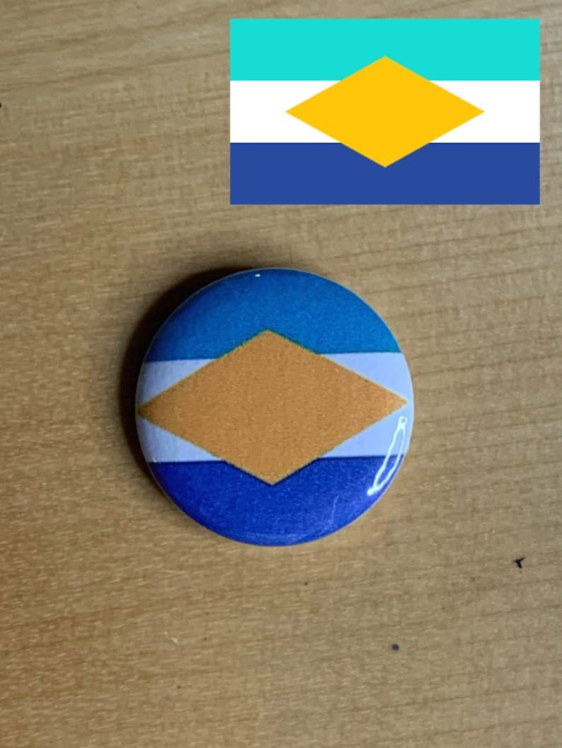 Dream Smp Flag Pins - Etsy