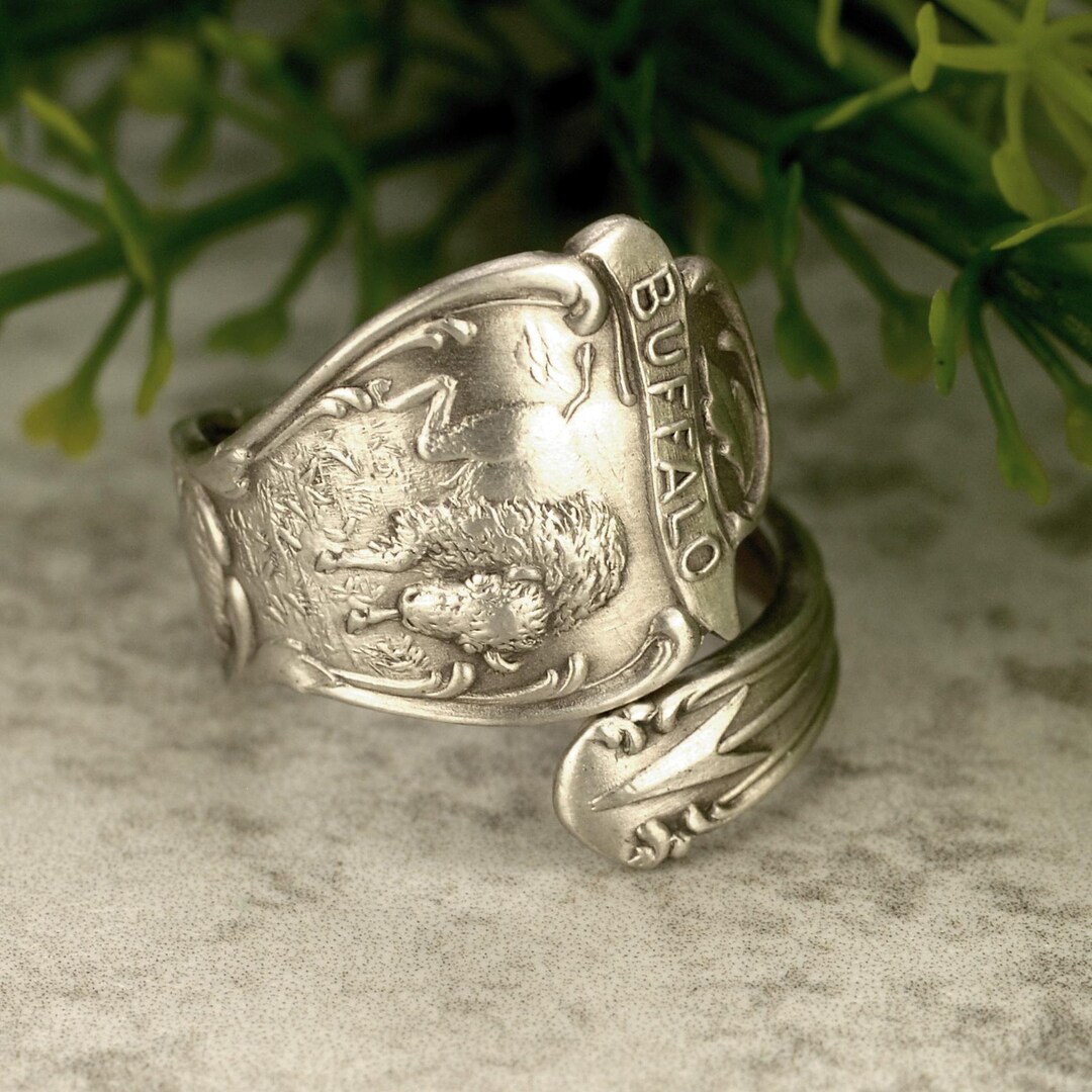 Native American Buffalo Ring, Indigenous Ring, Sterling Southwest Ring ...
