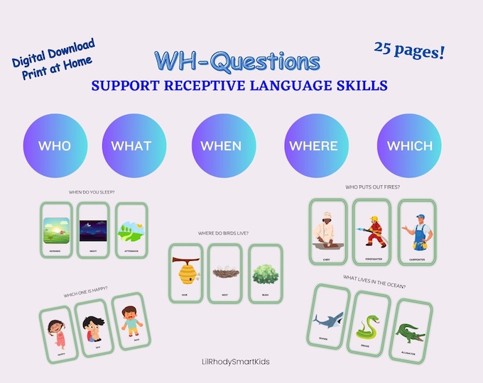 Wh-questions - 100 Printable Task Cards (who | What | Where | When ...