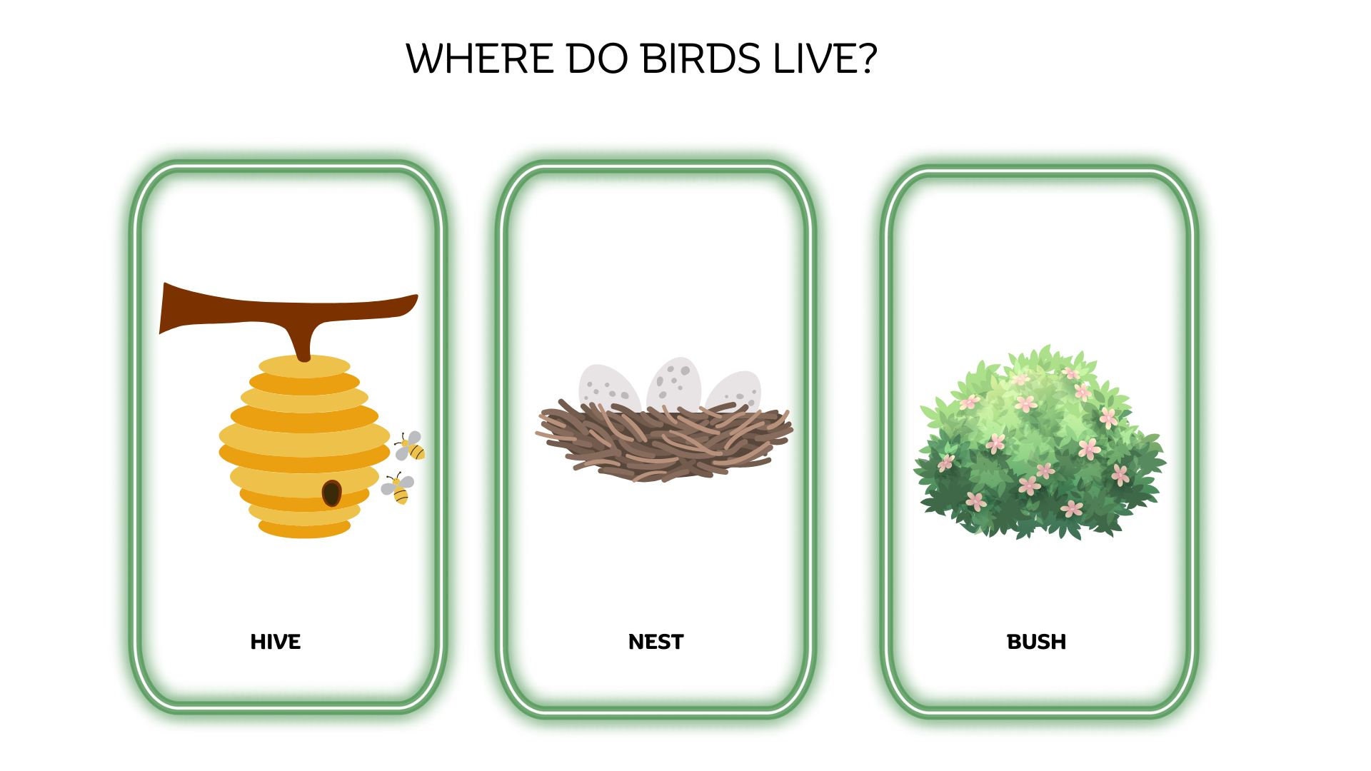 WH QUESTIONS- Who, What, When, Where, Which? Reinforce Comprehension ...
