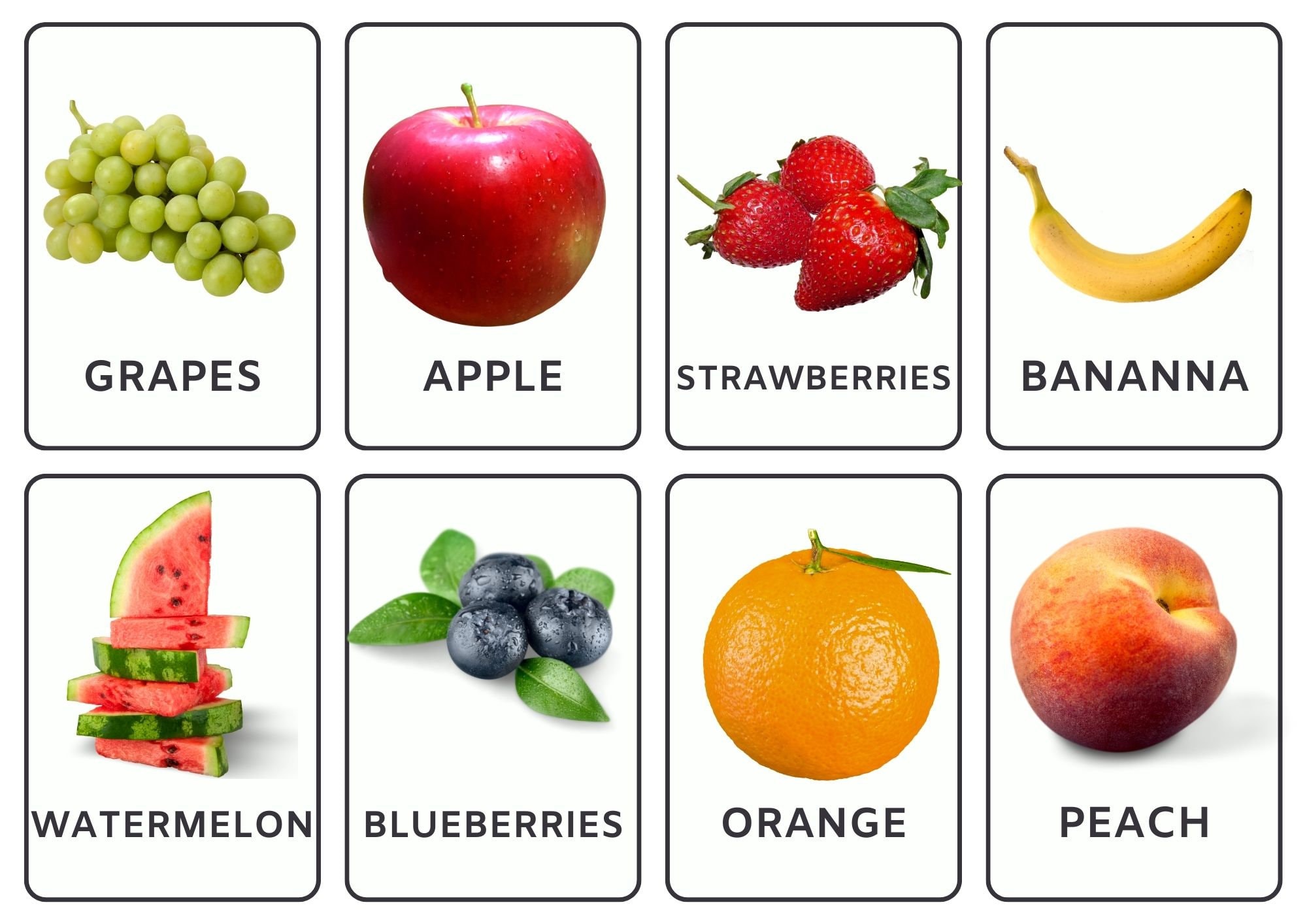 FRUIT and VEGETABLE SORT Sort the Fruits From the Veggies - Etsy