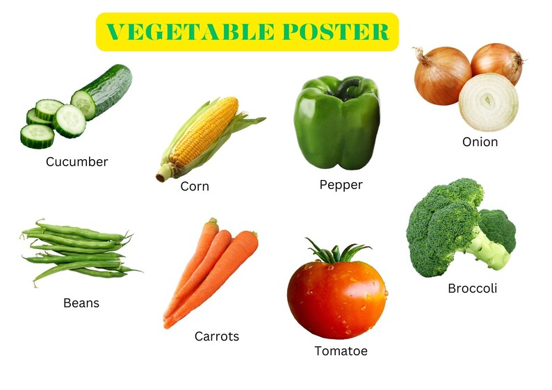 FRUIT and VEGETABLE SORT Sort the Fruits From the Veggies - Etsy
