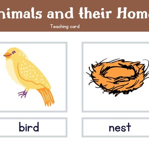 Animals and Their Homes. Cut and Paste Activity. Fun Pre-school ...