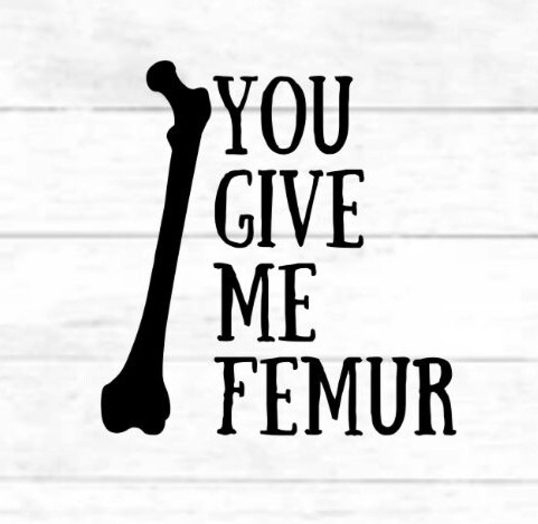 You Give Me Femur/ortho Humor: Digital Cut File Design, PNG for Cricut ...