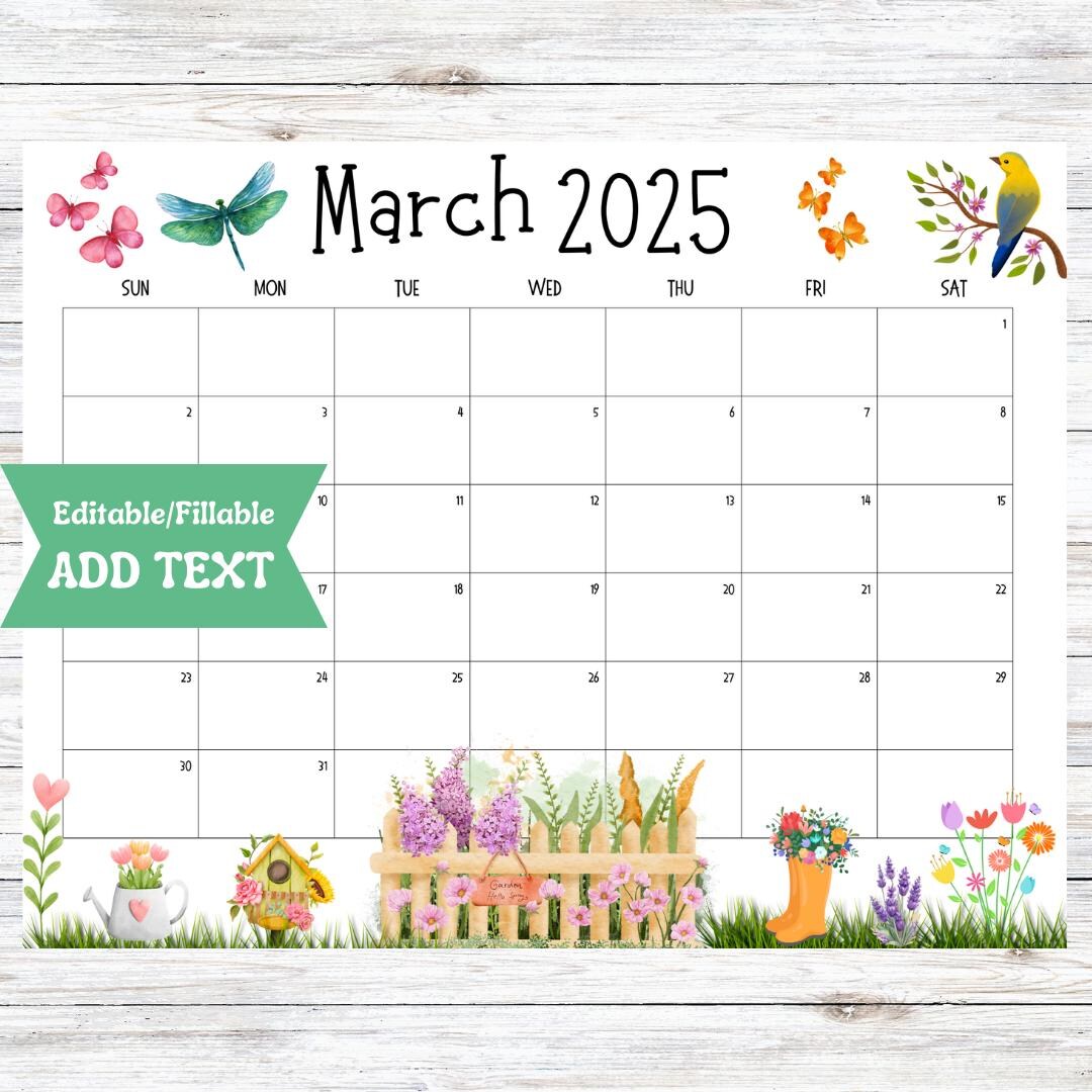 EDITABLE March 2025 Calendar Fillable Monthly Activity Planner ...