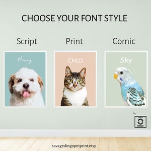 Custom Budgie Pet Portrait From Photo Personalized Parrot Memorial Art ...