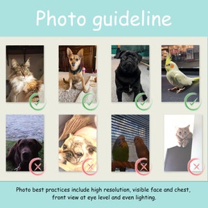 Custom Budgie Pet Portrait From Photo Personalized Parrot Memorial Art ...