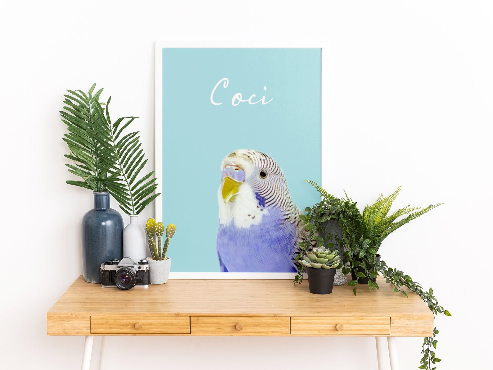 Custom Budgie Pet Portrait From Photo Personalized Parrot - Etsy