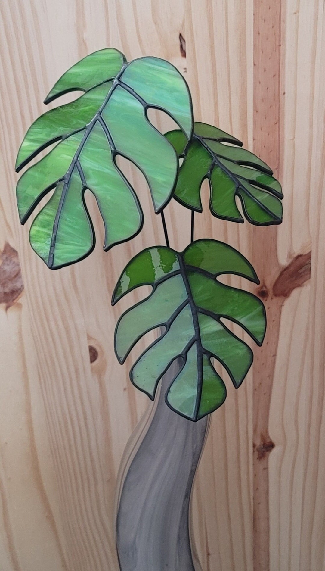 Stained Glass Monstera Deliciosa /tropical / Swiss Cheese Leaves ...