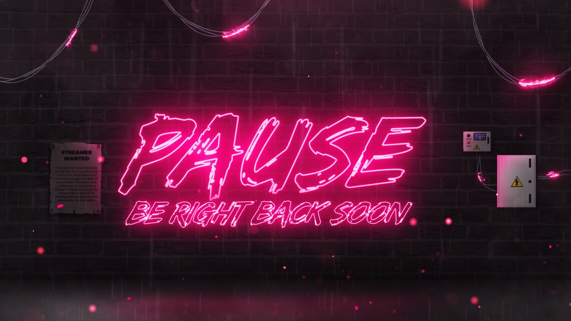 PINK NEON Stream OVERLAYS Package With Lighting Effects - Etsy