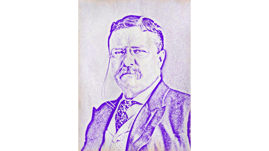 Theodore Roosevelt | American Art | Founding Fathers | Printable Wall ...