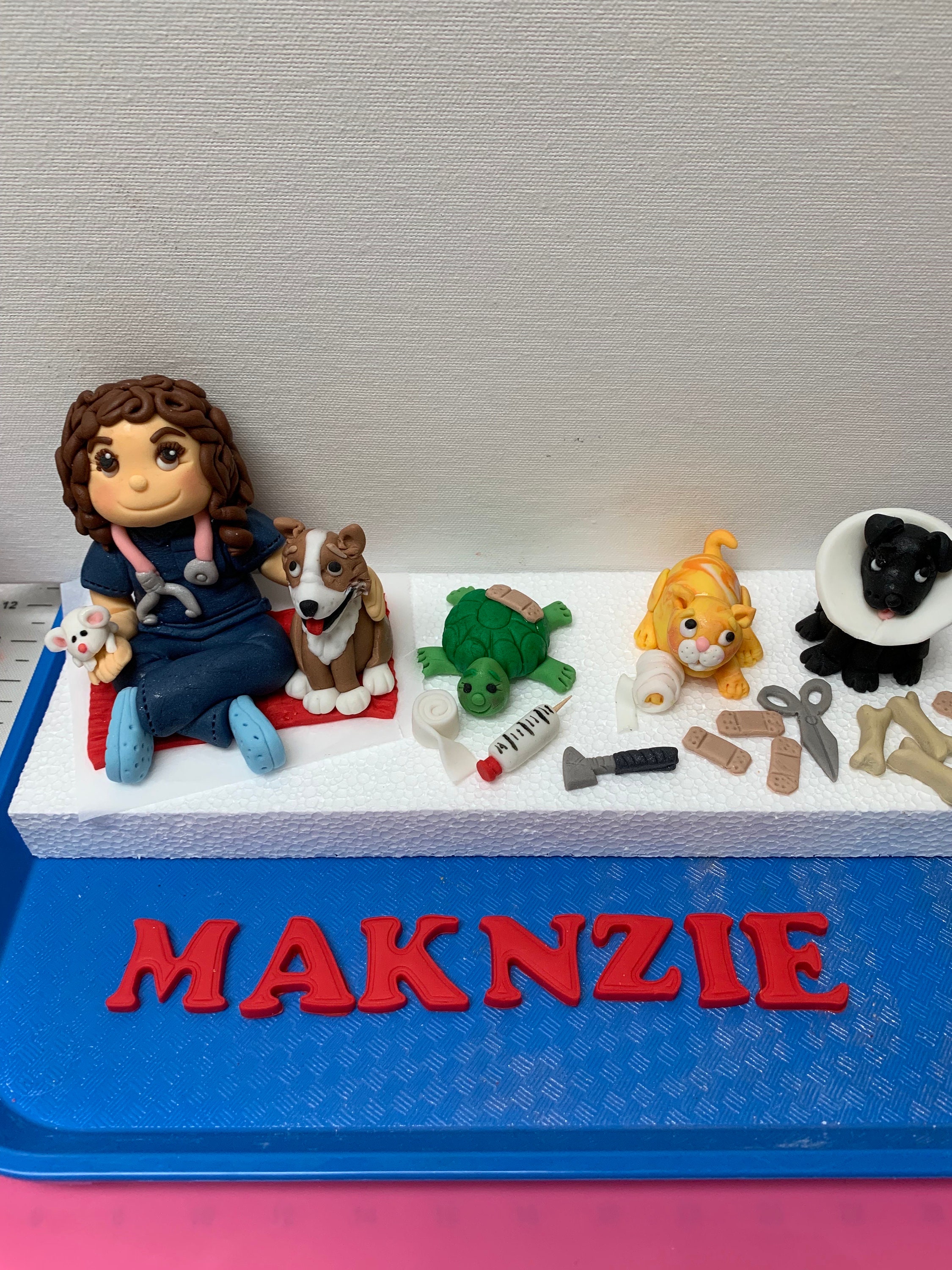 Veterinarian Fondant Cake Topper Custom Vet Cake Topper Vet - Etsy