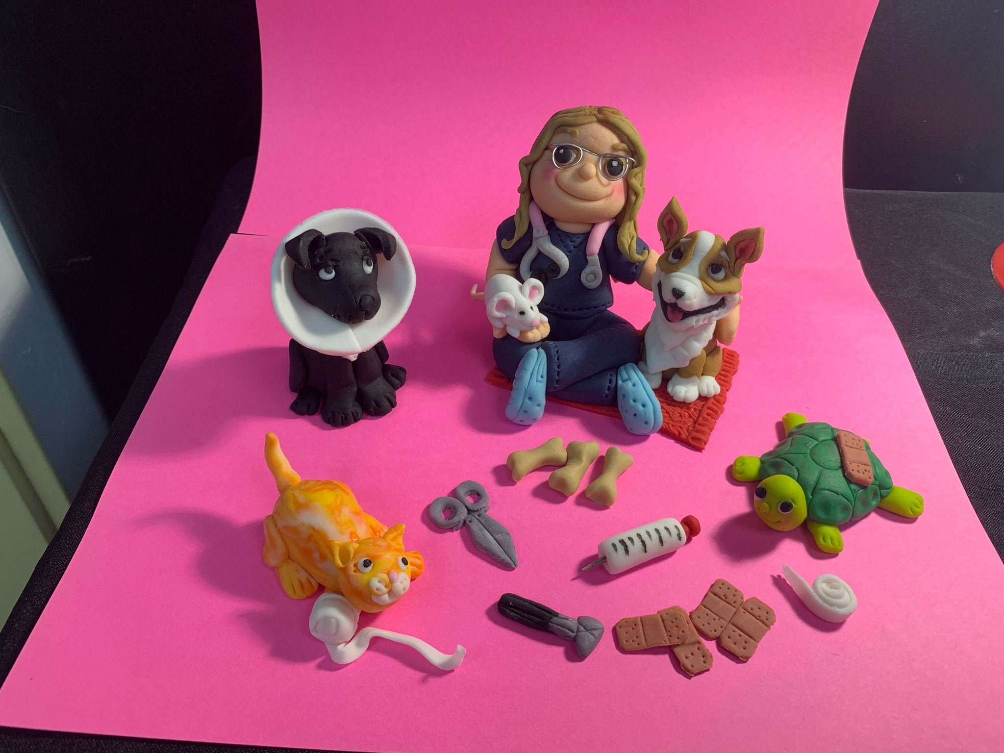 Veterinarian Fondant Cake Topper, Custom Vet Cake Topper, Vet Edible ...