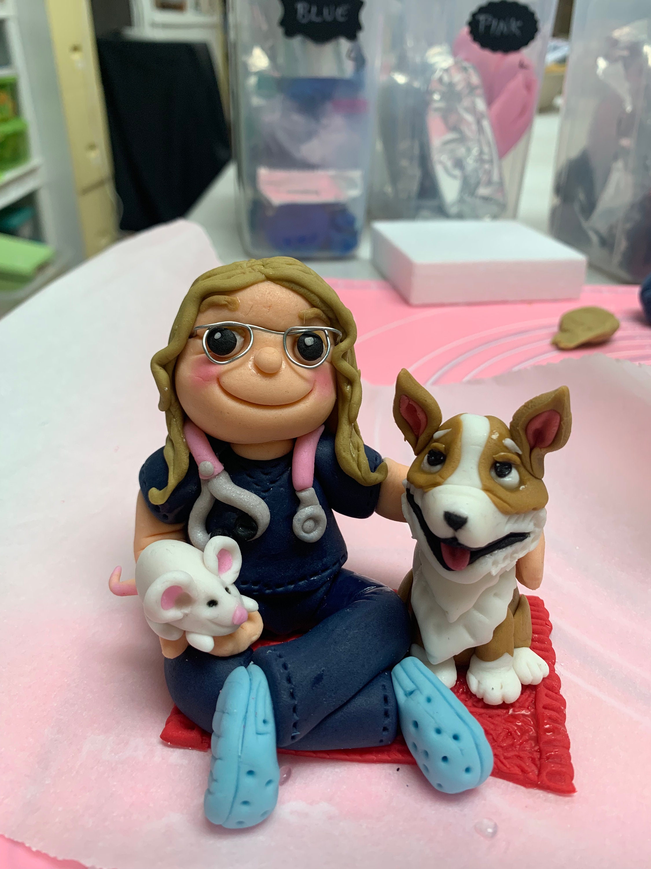 Veterinarian Fondant Cake Topper, Custom Vet Cake Topper, Vet Edible ...