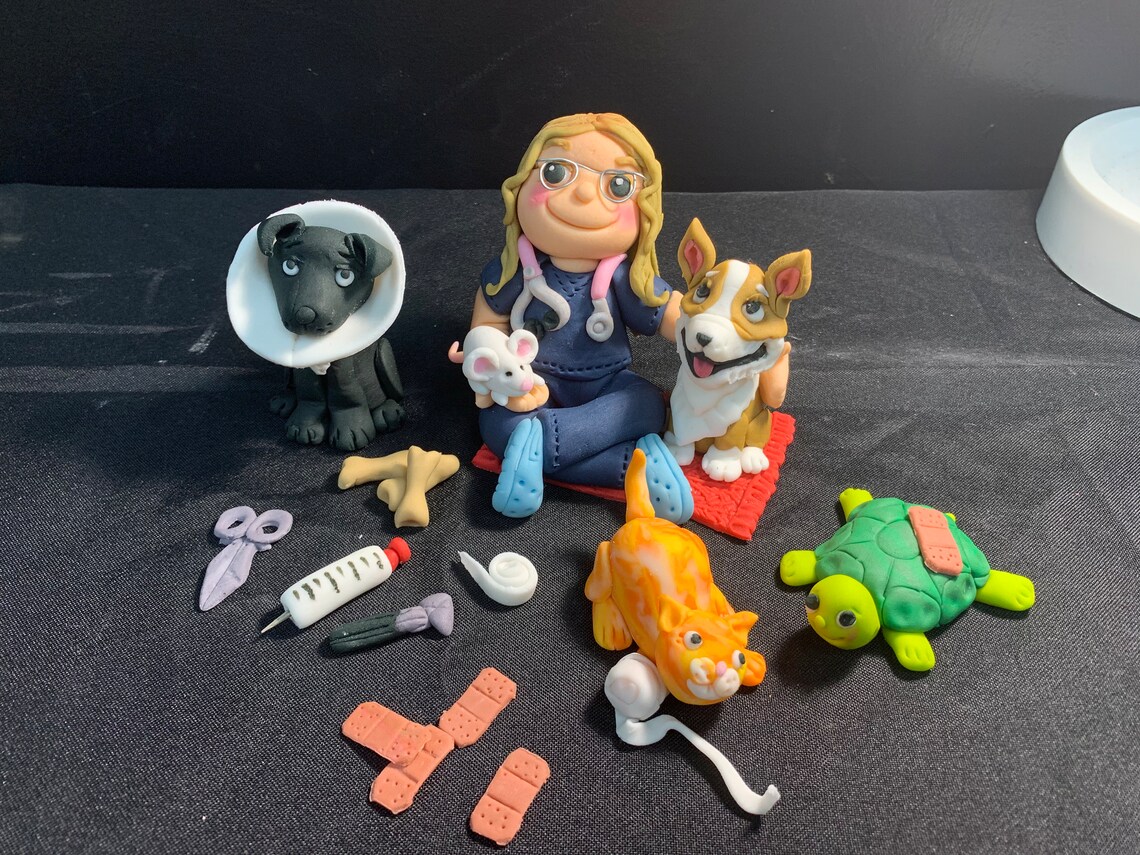 Veterinarian Fondant Cake Topper, Custom Vet Cake Topper, Vet Edible ...