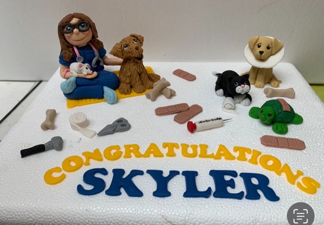 Veterinarian Fondant Cake Topper, Custom Vet Cake Topper, Vet Edible ...