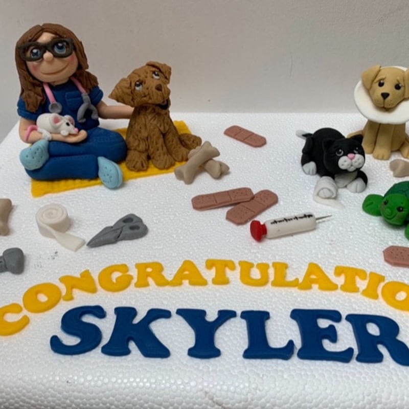 Vet Cake Topper - Etsy