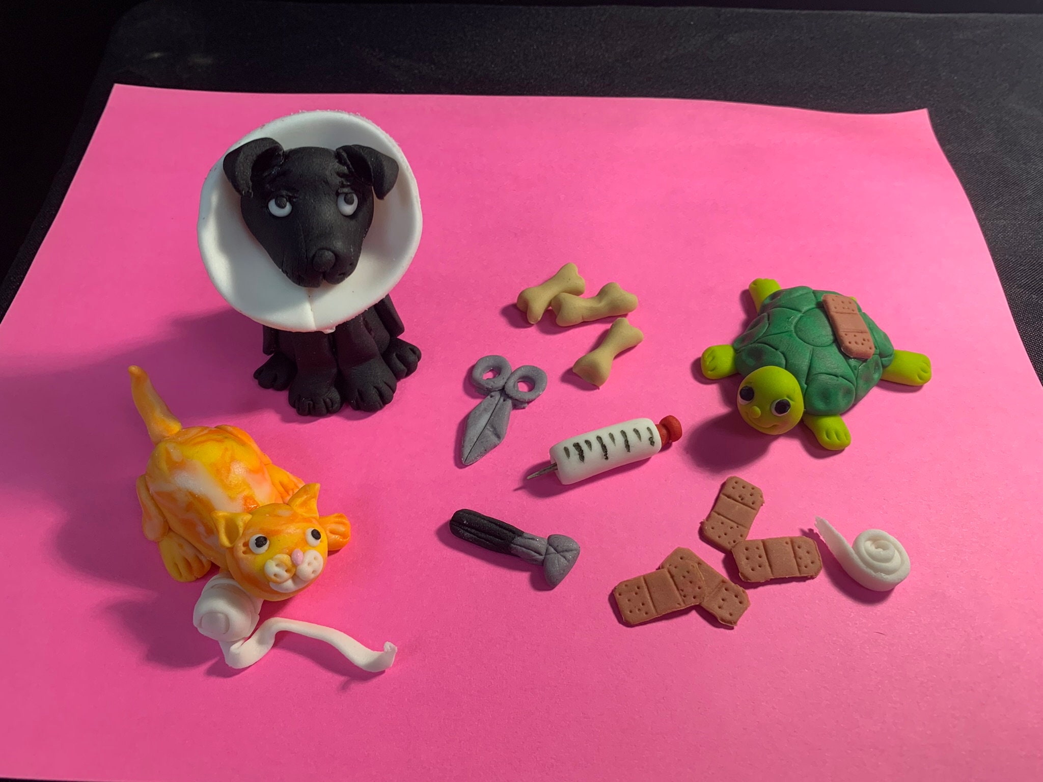 Veterinarian Fondant Cake Topper, Custom Vet Cake Topper, Vet Edible ...