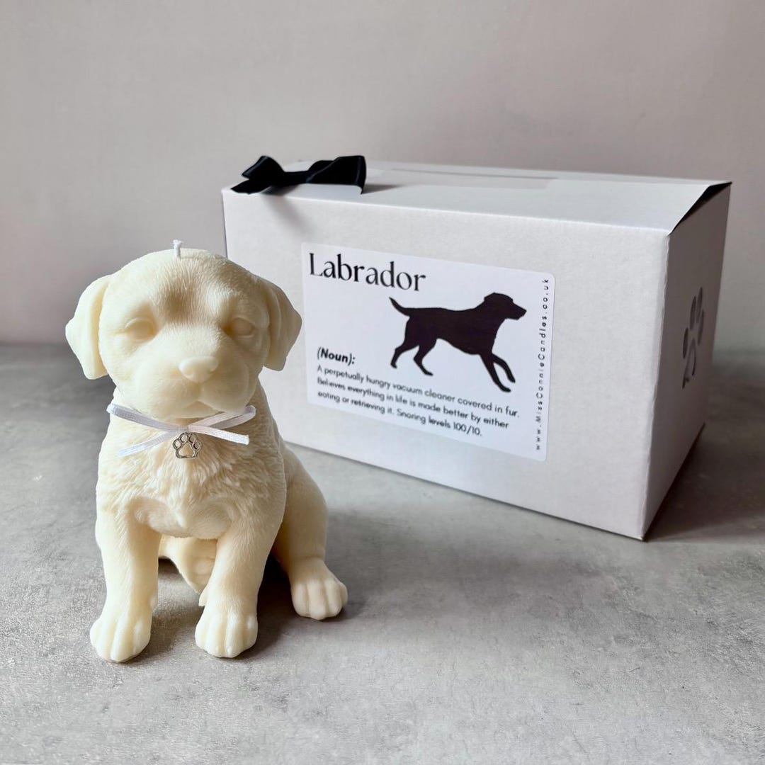 Labrador Puppy Dog Candle - Large - Etsy