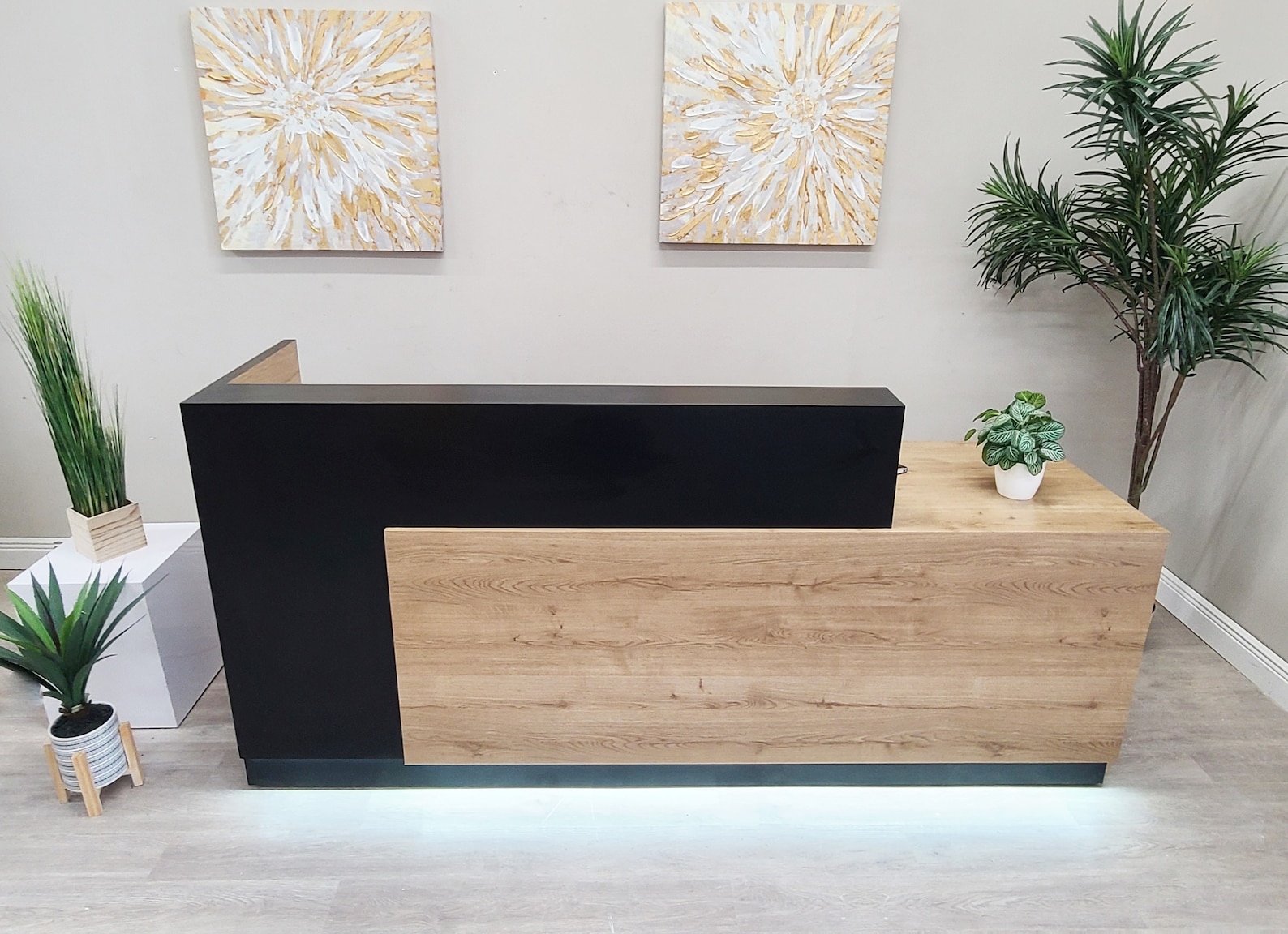 Jade Plus Reception Desk - Etsy