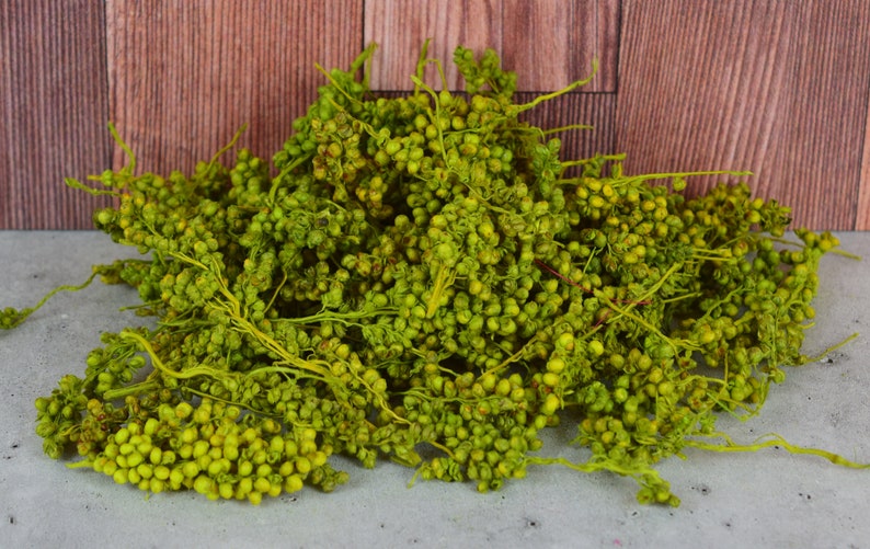 Milo Berries (multiple Colors) Unscented Botanicals for Potpourri or ...