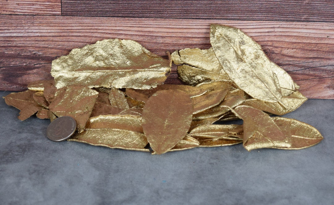 Gold Guava Leaves, Unscented Botanicals for Potpourri or Bowl Filler ...
