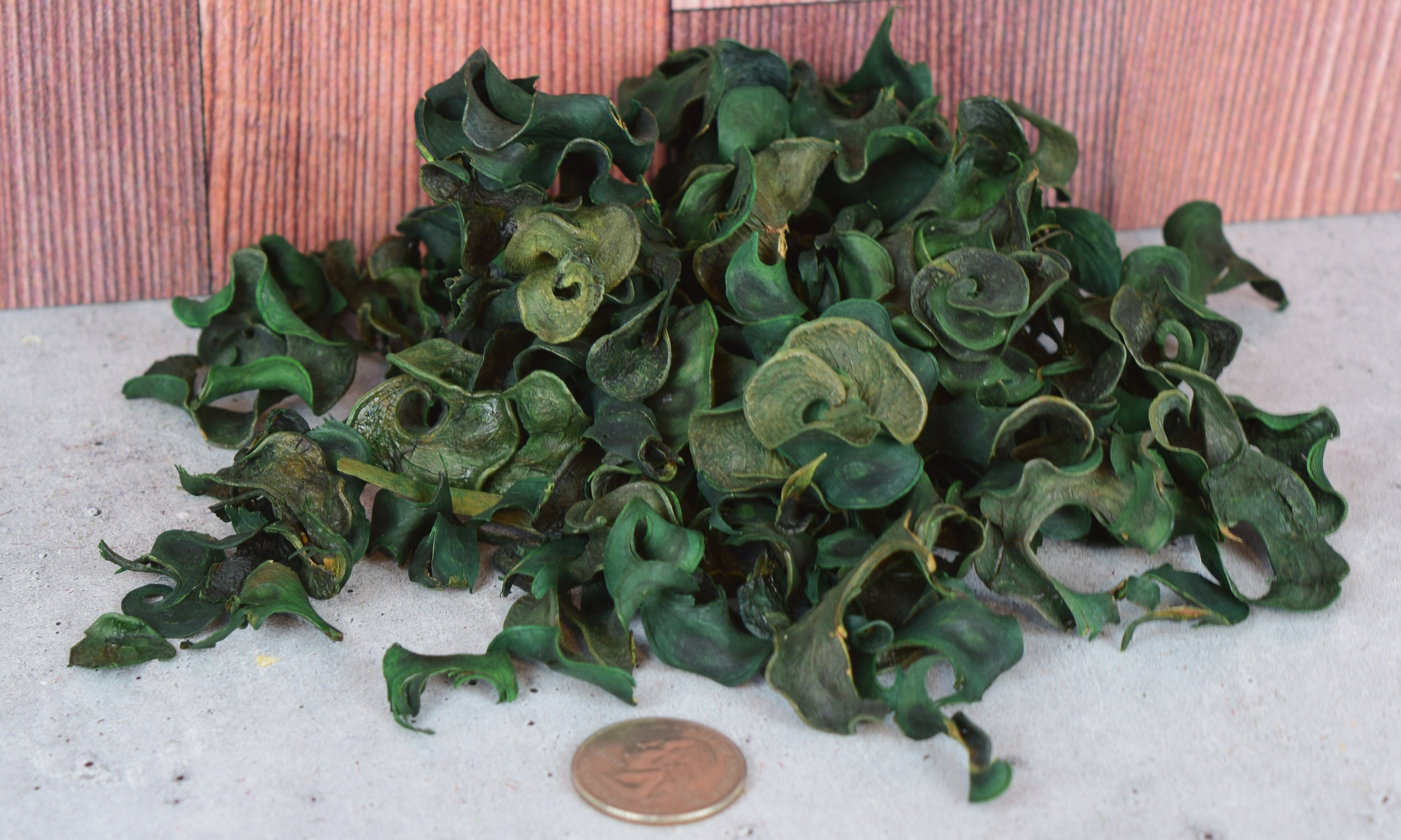 Curly Pods green Unscented Botanicals for Potpourri or Bowl - Etsy