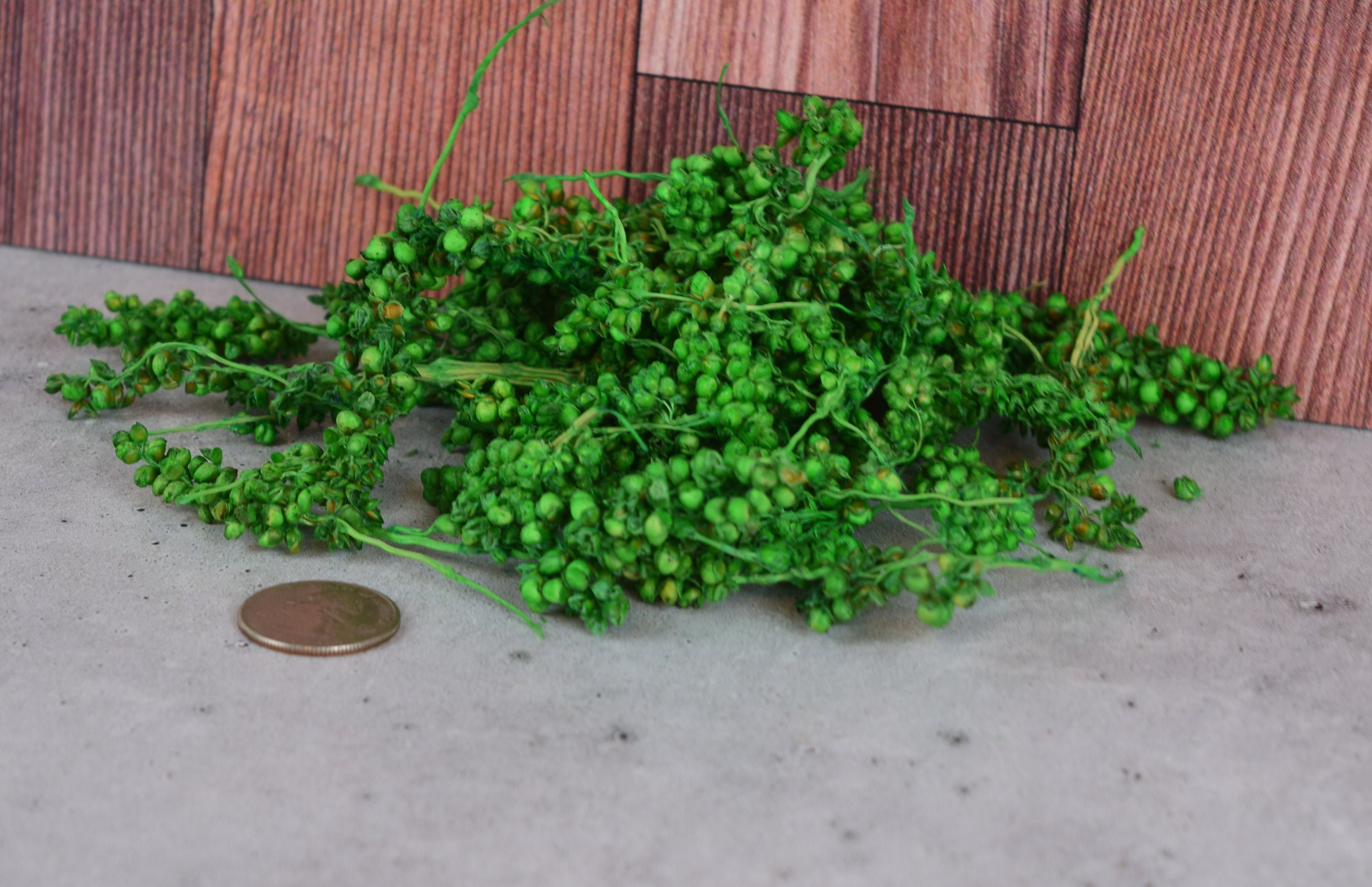 Milo Berries (green), Unscented Botanicals for Potpourri or Bowl Filler ...