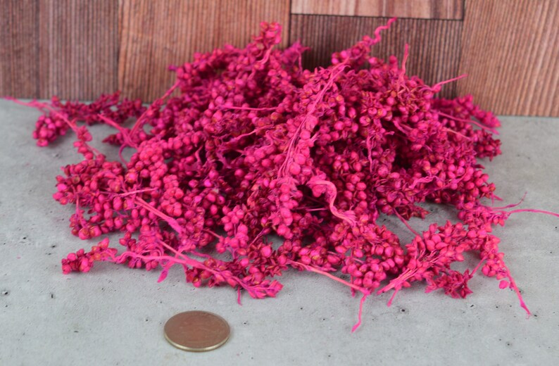 Milo Berries multiple Colors Unscented Botanicals for Potpourri or Bowl ...