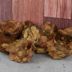 Coco Flowers (natural), Unscented Botanicals for Potpourri or Bowl ...