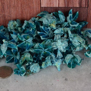 Hibiscus Pods (multiple Color Variations), Unscented Botanicals for ...