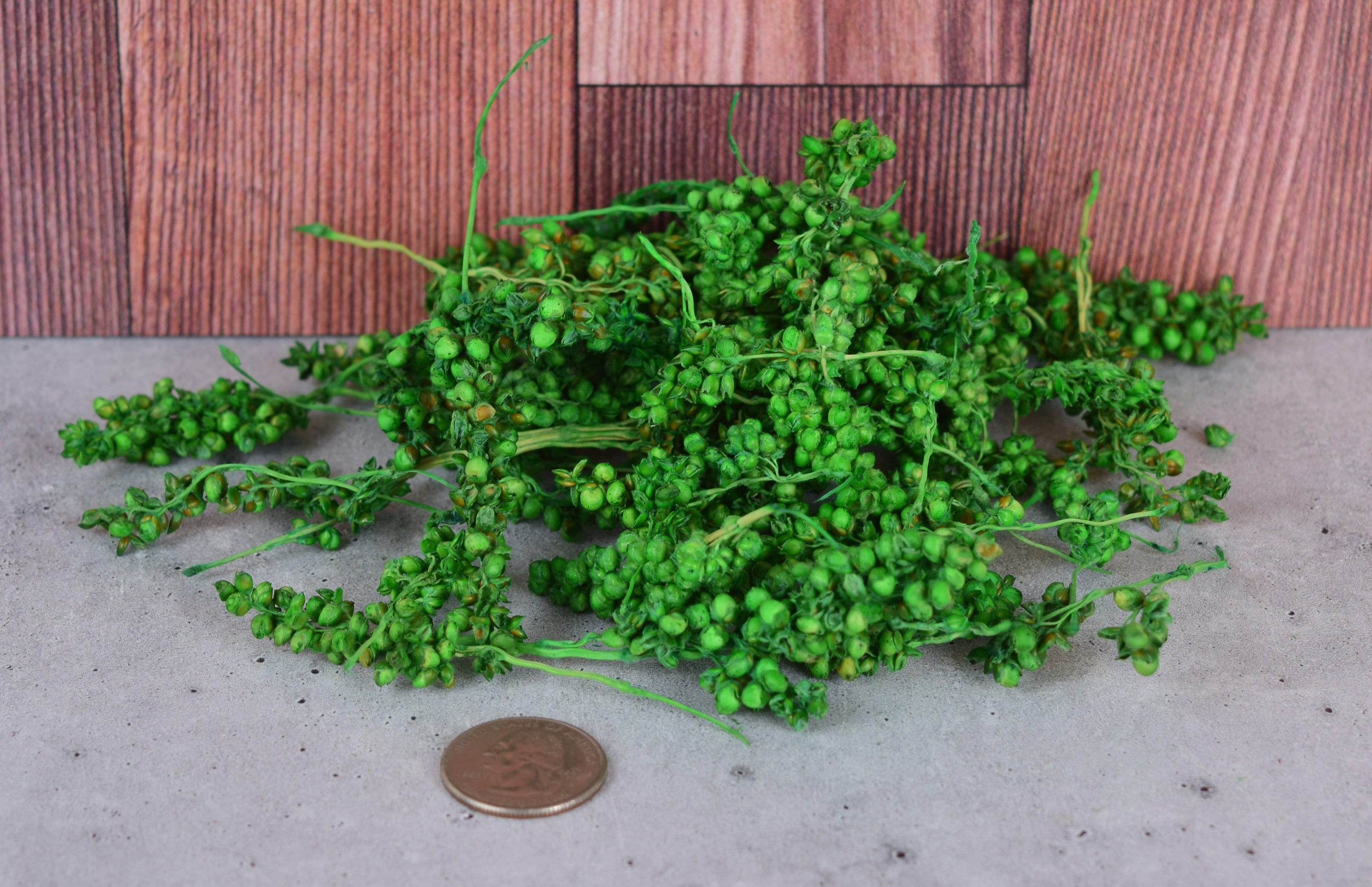 Milo Berries (multiple Colors) Unscented Botanicals for Potpourri or ...