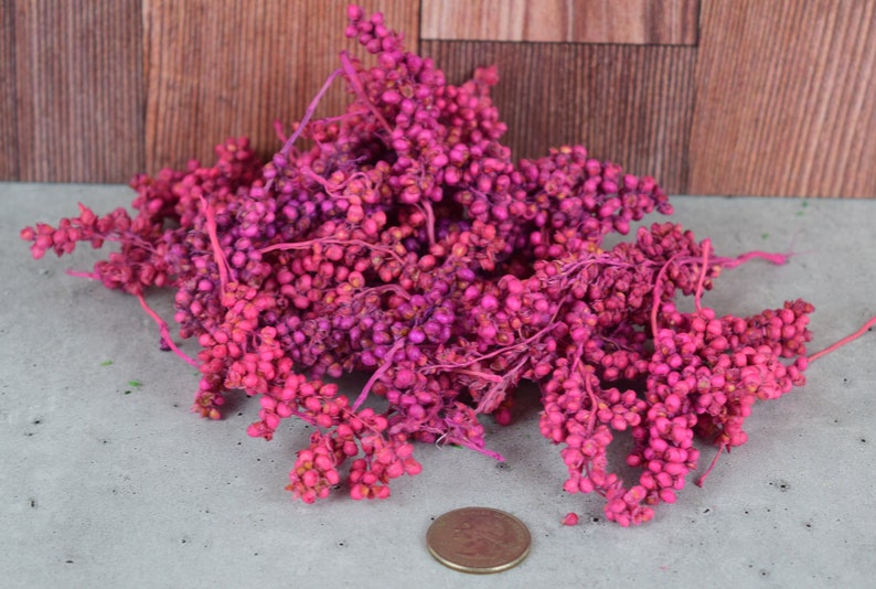 Milo Berries (multiple Colors) Unscented Botanicals for Potpourri or ...