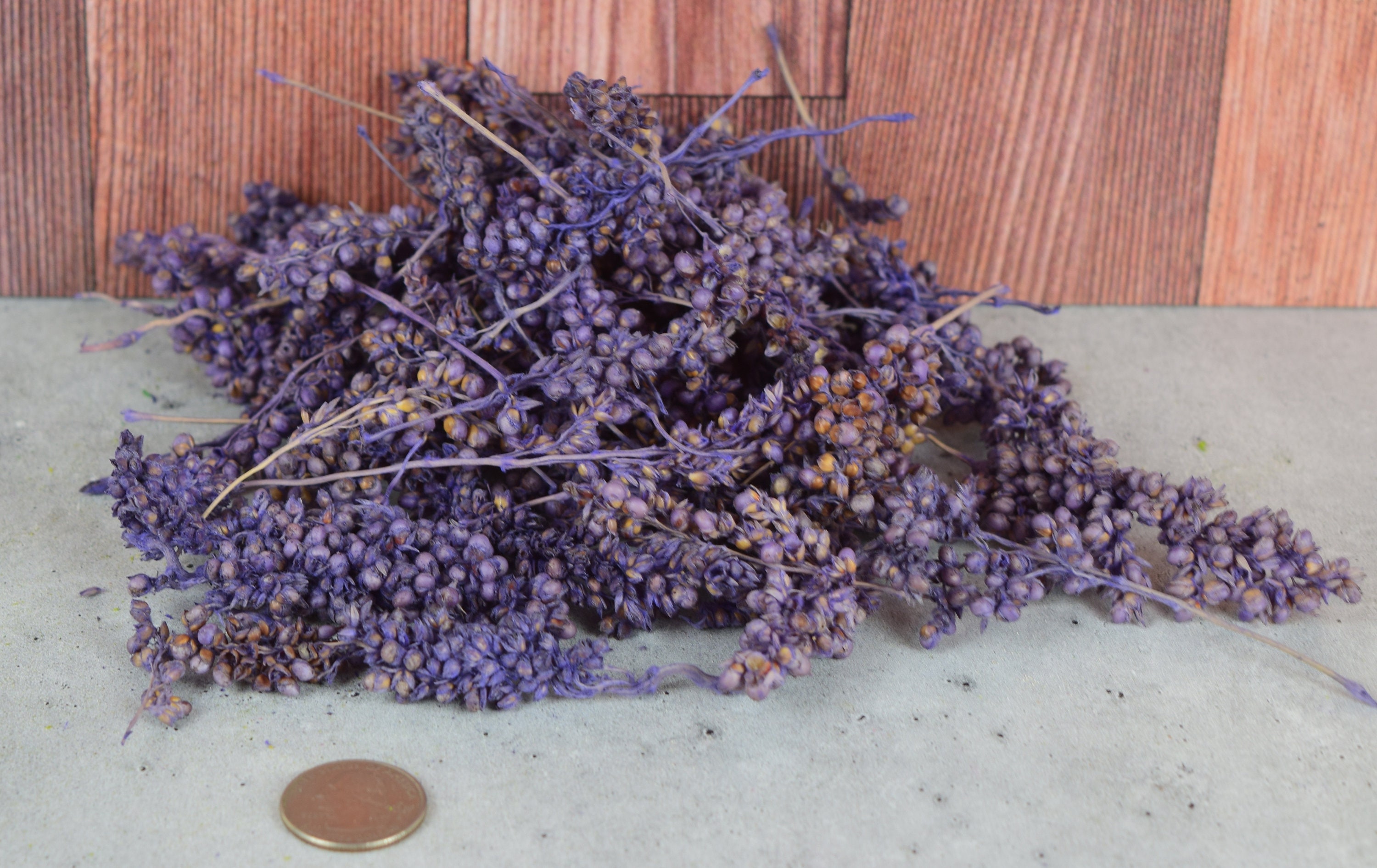 Milo Berries (multiple Colors) Unscented Botanicals for Potpourri or ...