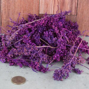 Milo Berries (multiple Colors) Unscented Botanicals for Potpourri or ...